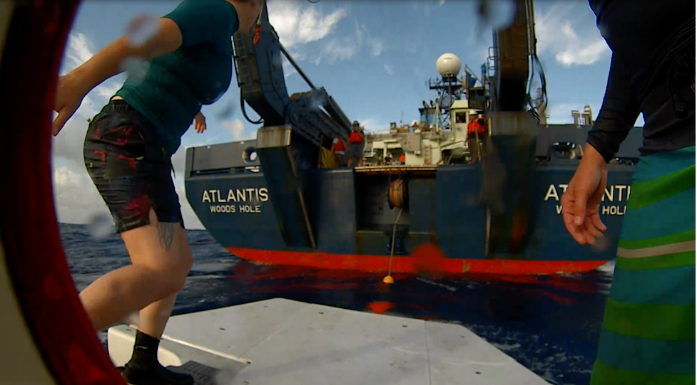 What is it like being an Alvin swimmer?