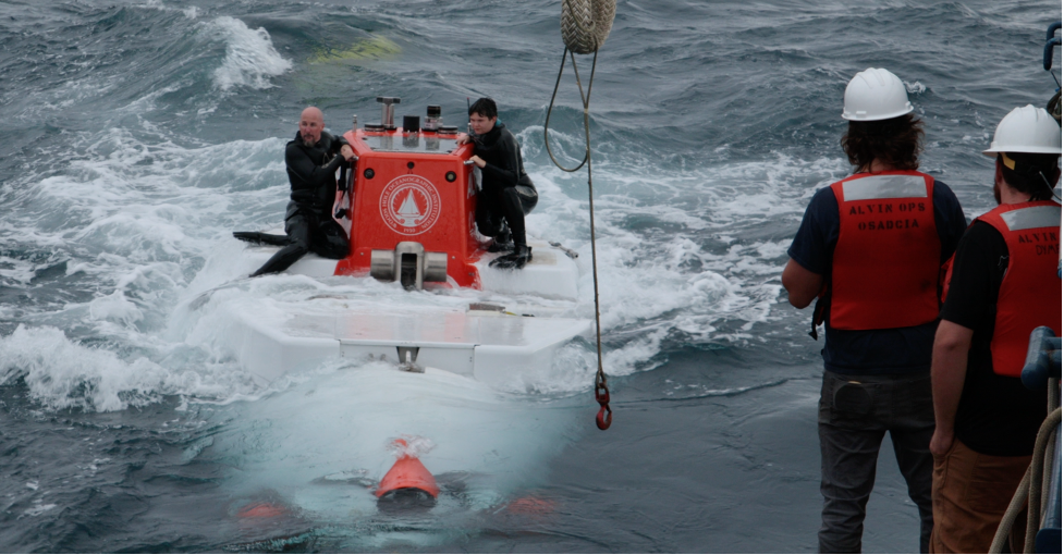 What is it like being an Alvin swimmer?